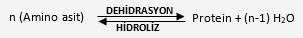 Genetik Şifre ve Protein Sentezi Biyoloji Konu Anlatımı Ders Notları ...